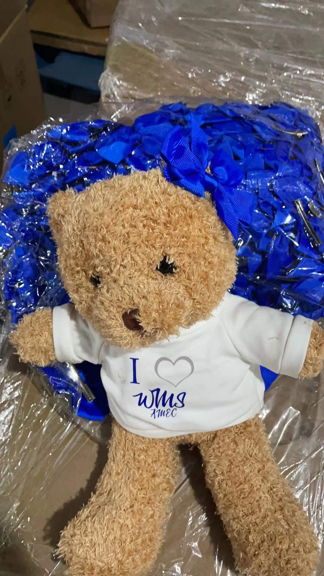 WMS Teddy Bear | WMS-AMEC Branding Boutique